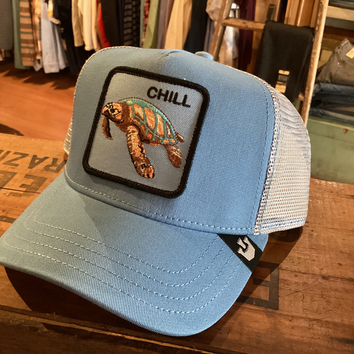 The Chill Sea Turtle - Chill – NYLA Fresh Thread